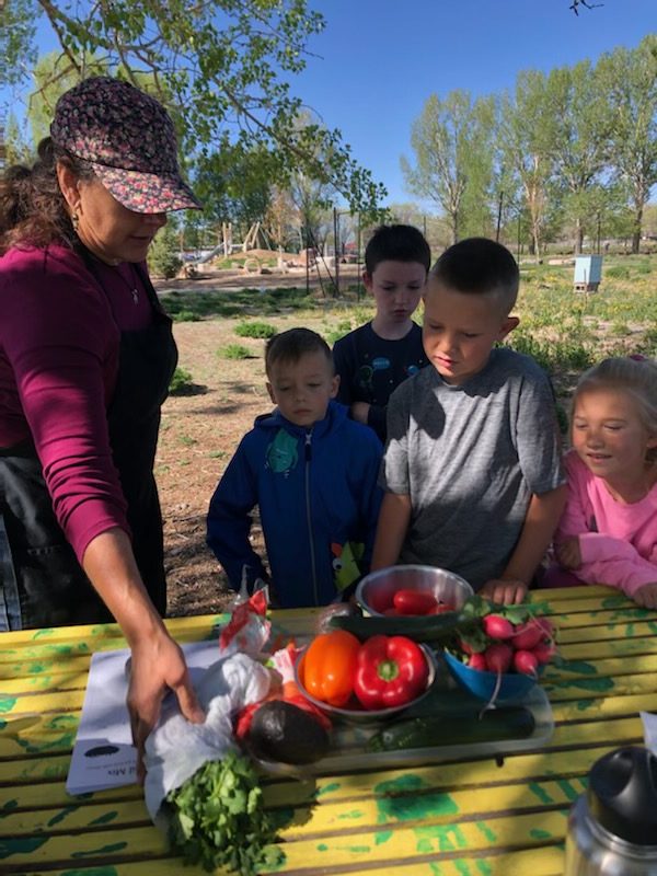 Donate | San Luis Valley Local Foods Coalition